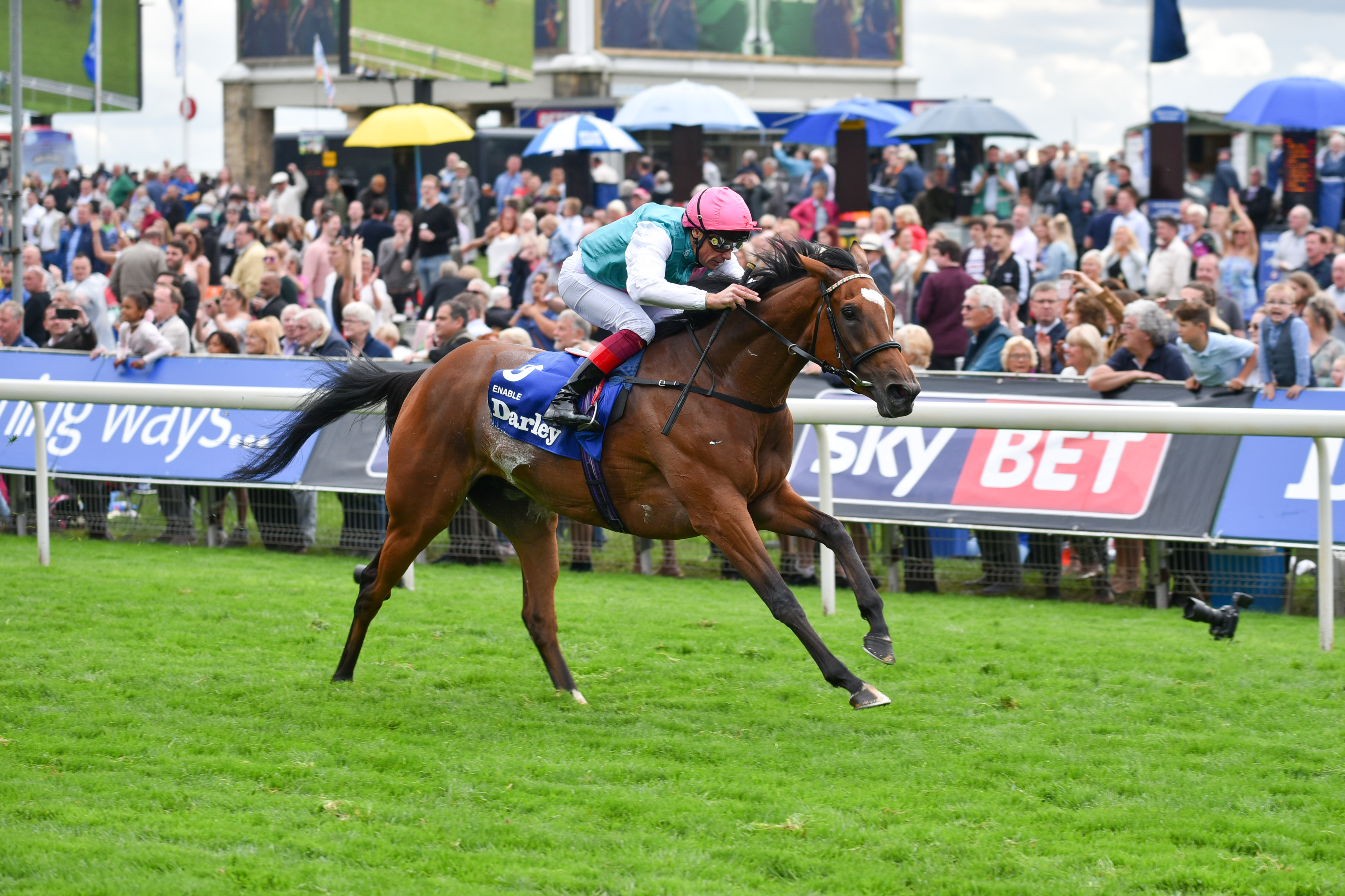 Entries for the Group One Races at the Welcome to Yorkshire Ebor ...